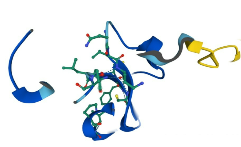 揭秘HE4，你不能不知道的秘密-新闻中心-